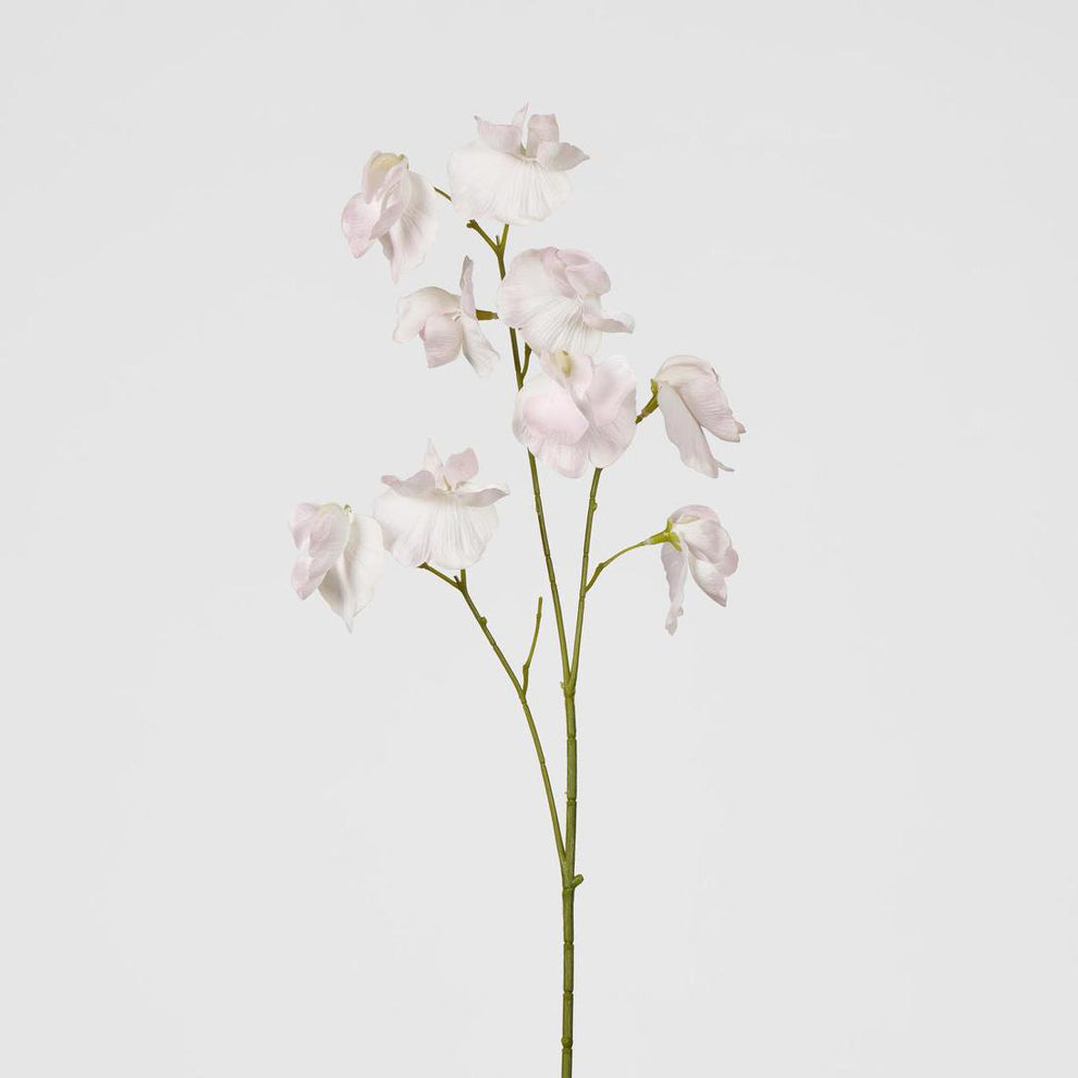 Jane Sweet Pea 60cm Pink – Florabelle Living
