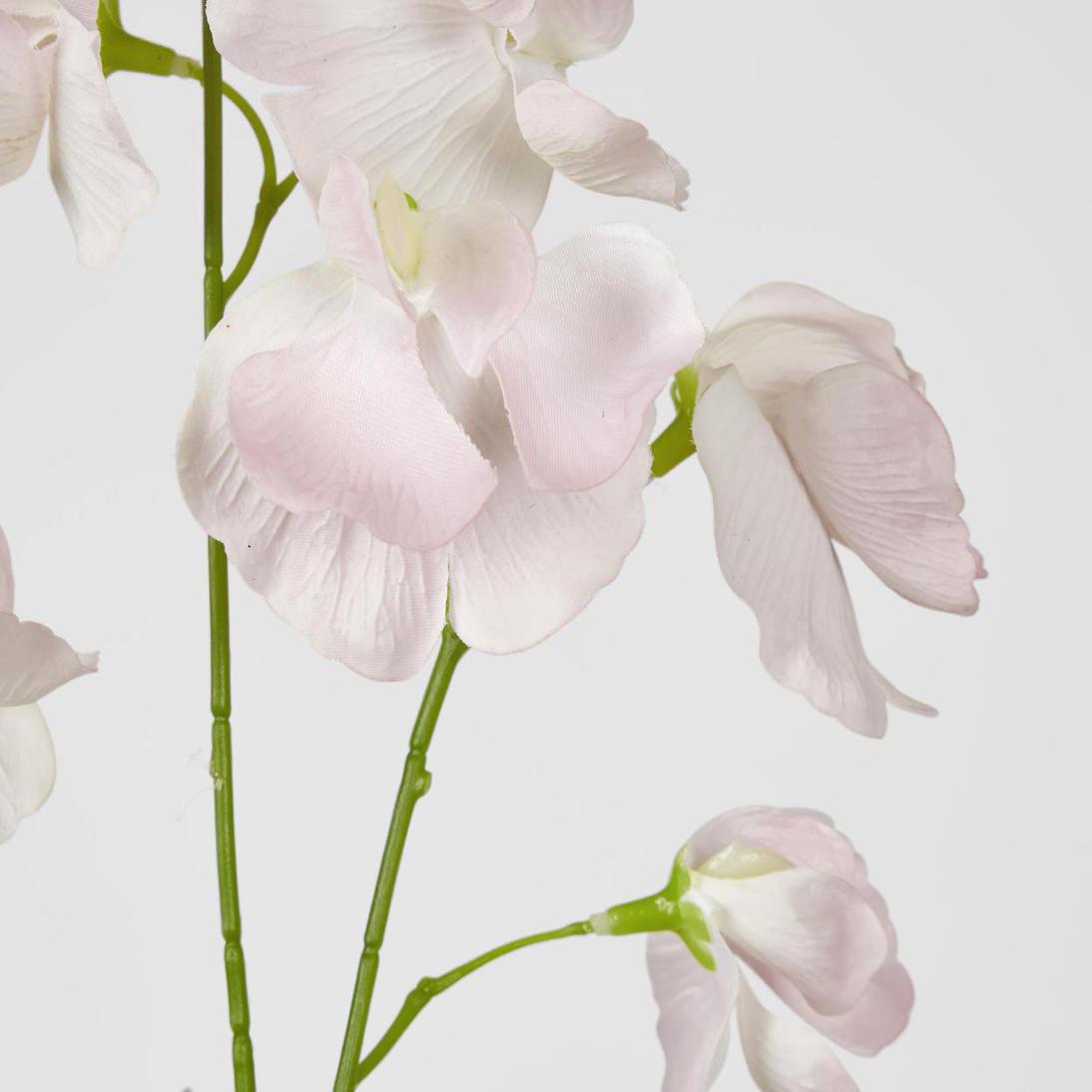Jane Sweet Pea 60cm Pink – Florabelle Living